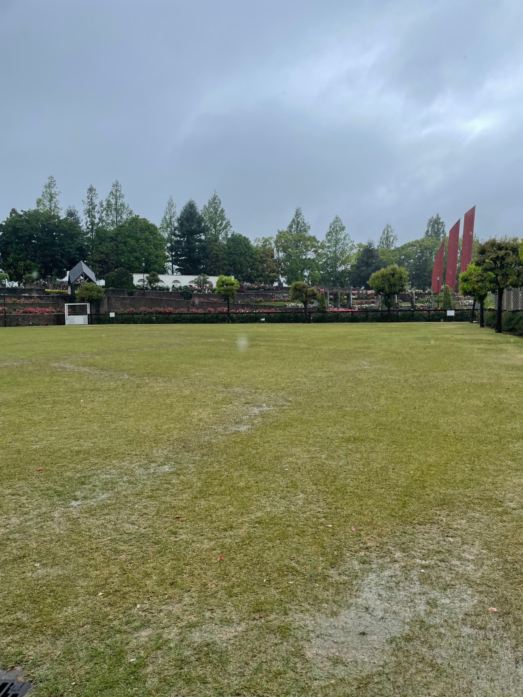 バラ公園開花状況とみどりのプラザ臨時休館のお知らせ - 伊丹市立みどりのプラザ